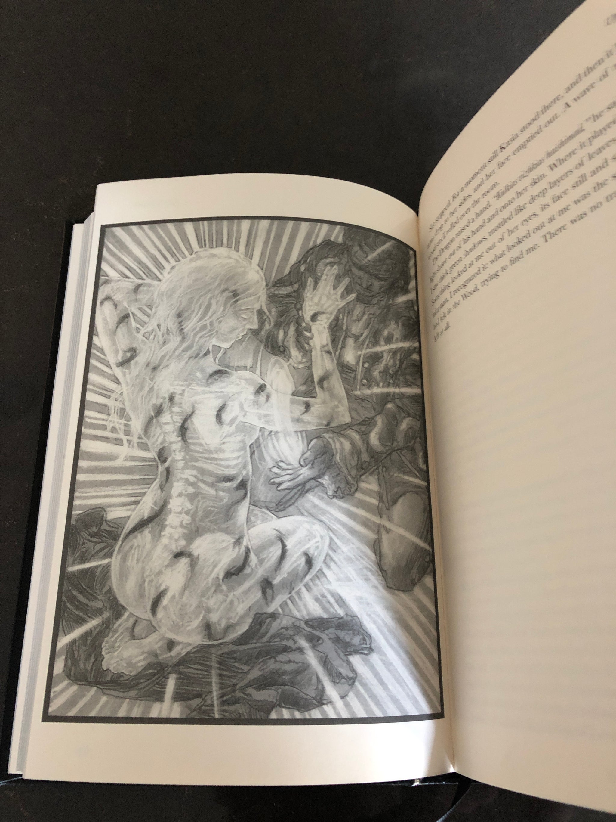 Uprooted Limited Edition – Grim Oak Press